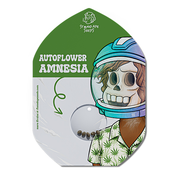 Autoflower Amnesia (3 Seeds) Stoned Ape Seeds – KRS Trading