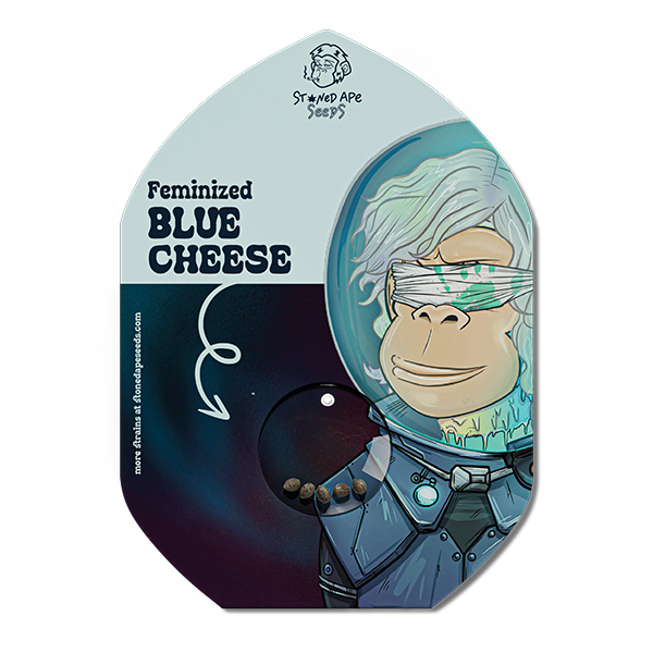 Blue Cheese (3 Seeds) Stoned Ape Seeds – KRS Trading
