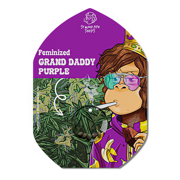 Grand Daddy Purple (5 Seeds) Stoned Ape Seeds – KRS Trading