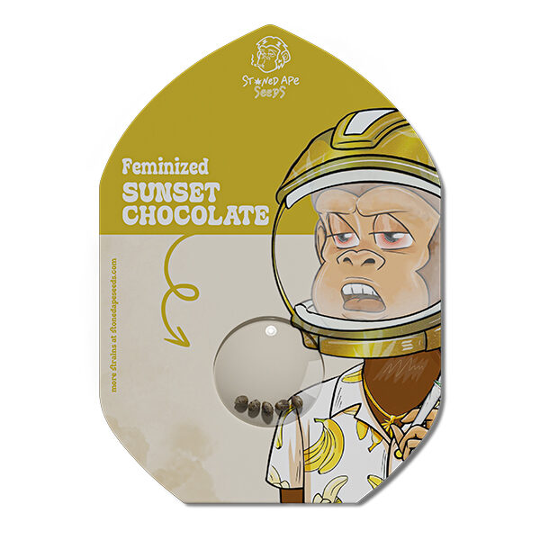 Sunset Chocolate (1 Seed) Stoned Ape Seeds – KRS Trading